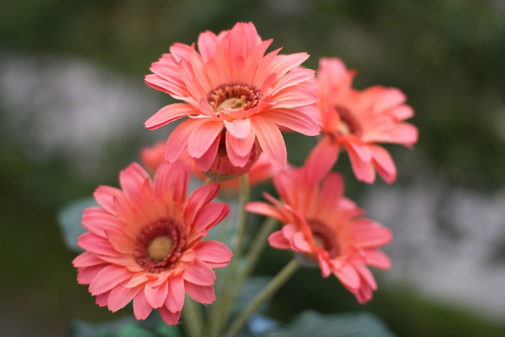 Bernie’s Better Guide to Depth of Field for Geeks Who Want to be ...