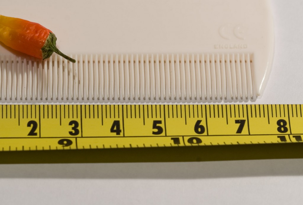 Bernie’s Better Guide to Depth of Field for Geeks Who Want to be ...